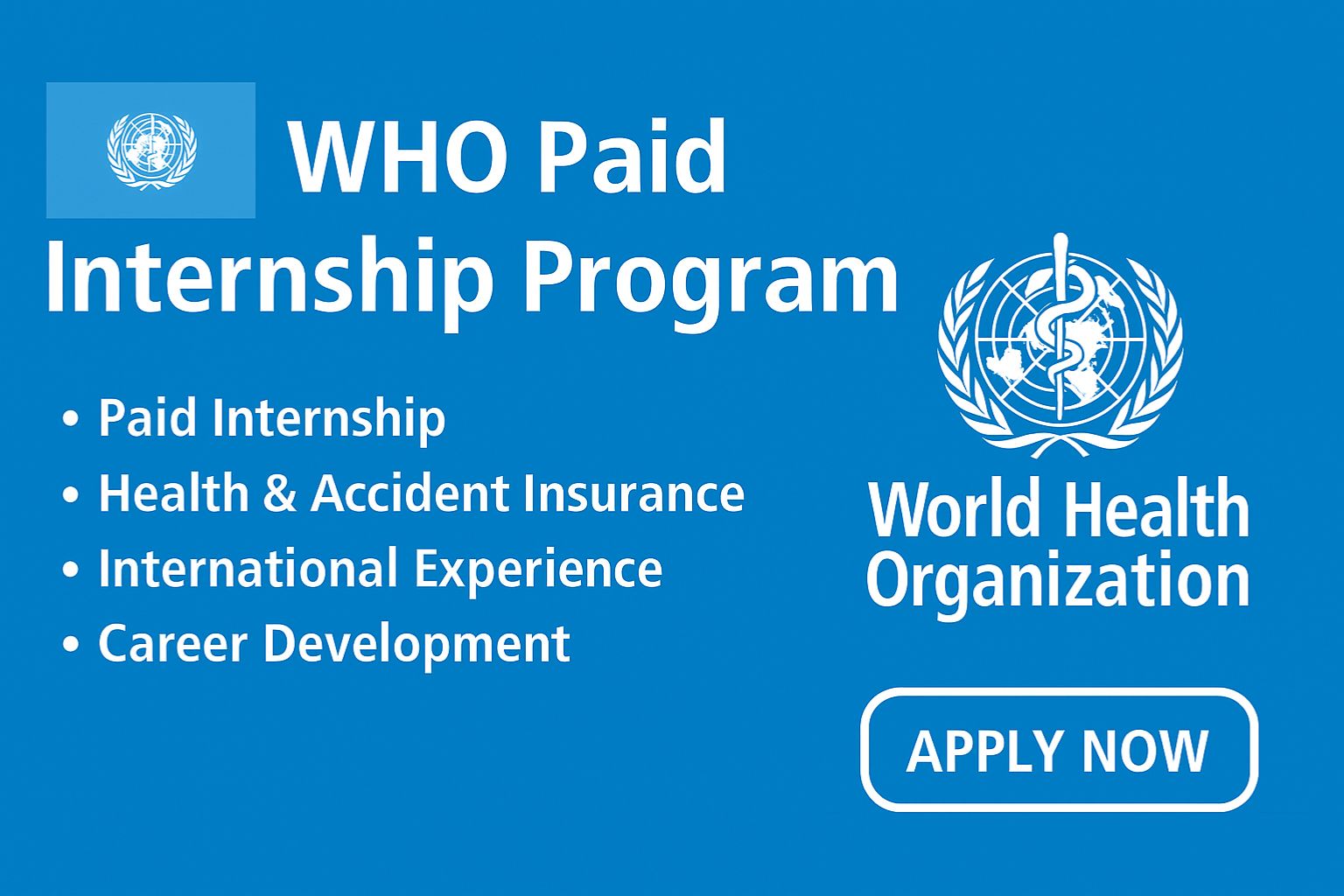 WHO Paid Internship Program for Young Professionals Worldwide